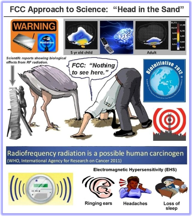 Federal Communications Commission (FCC) Bias: “Nothing to See Here ...
