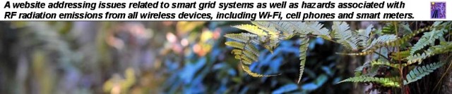 Electromagnetic Hypersensitivity Ehs Smart Grid Awareness 2834